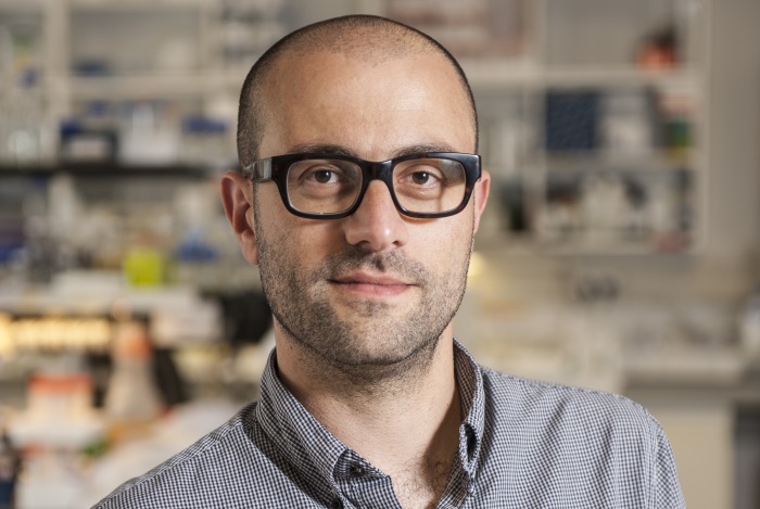 Scientists at The Sainsbury Laboratory identify novel regulatory ...