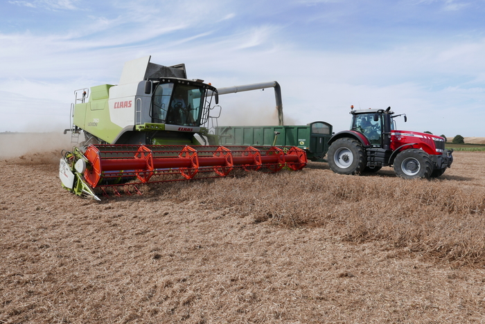 New world record for combined peas set in Lincs | News from AA Farmer