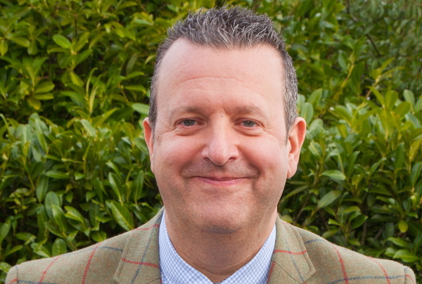 Top oilseed rape varieties on deferred payment offer from Hutchinsons ...