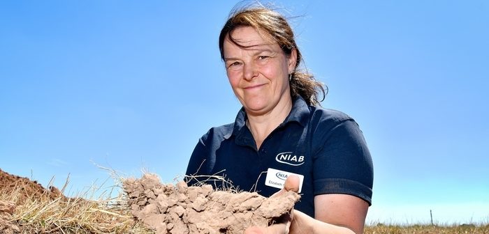 Conversations about organic must change if sector’s opportunities are ...