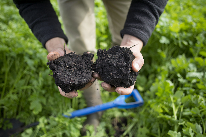 Time for growers to take a closer look at their soils | News from AA Farmer
