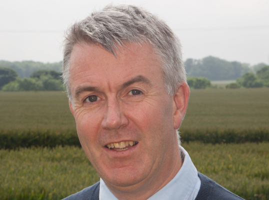 The 4R’s of Sulphur Management | News from AA Farmer