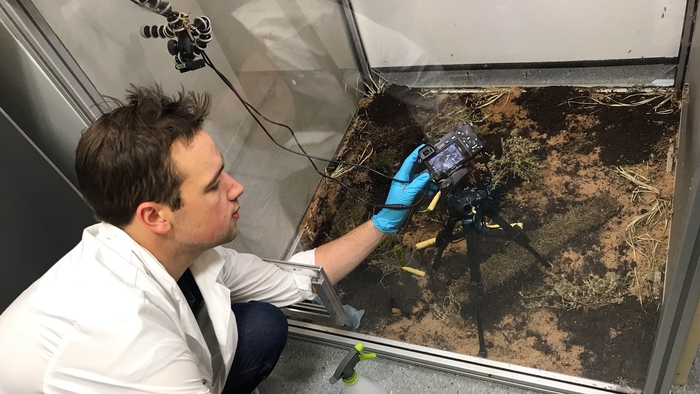 Precision pest control: smartphone app is the farmer’s newest weapon in ...