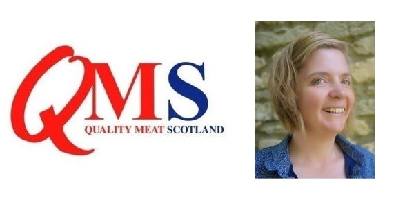 Farmers invited to Sward Sticks to Software Better Grazing meetings ...