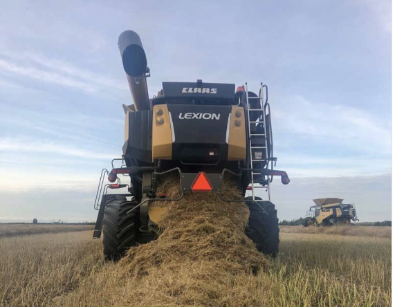 New grain loss measurement system introduced in Europe | News from AA ...
