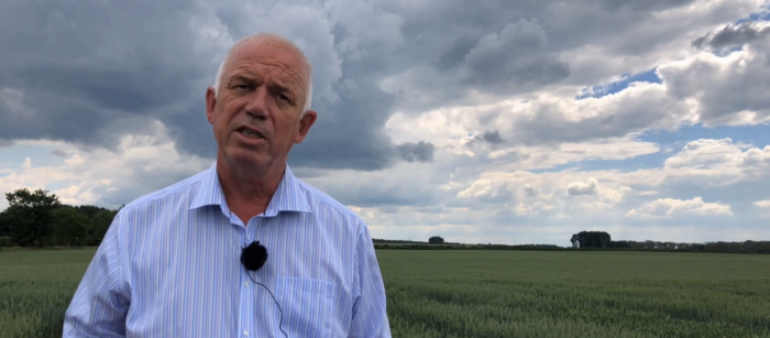 ‘Virtual trials' put spotlight on eastern varieties | News from AA Farmer