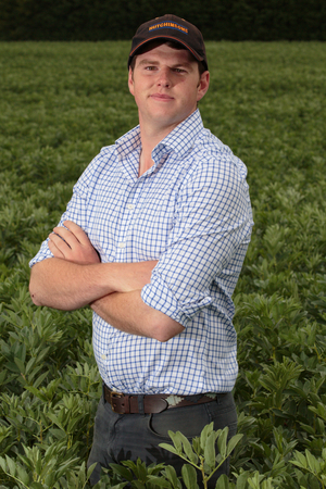 Don’t let phosphate deficiency stifle wheat potential | News from AA Farmer