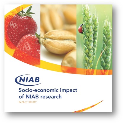 Impact study: NIAB research delivers 18-fold return to the wider UK ...