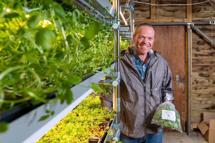 Vertically farmed Anglesey watercress is a hit for Hooton’s Homegrown ...
