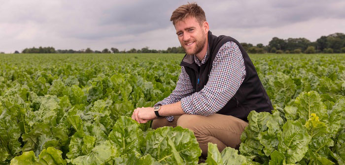 Use Velum Prime to reduce fanging in carrots | News from AA Farmer