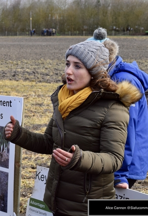 Cover crop termination | News from AA Farmer