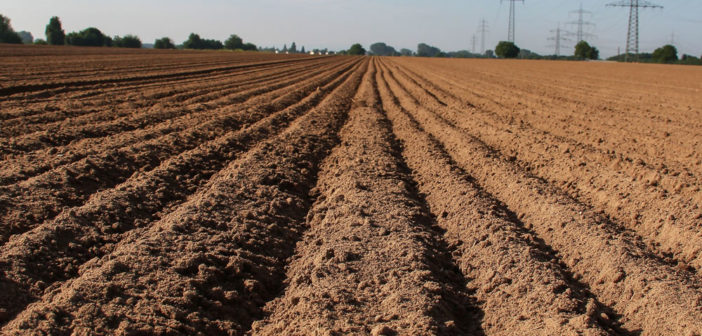 Uptake of NRM’s SMN analysis doubles as high nitrogen fertiliser prices ...