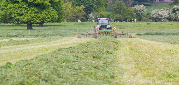 Top tips for spring grass management | News from AA Farmer
