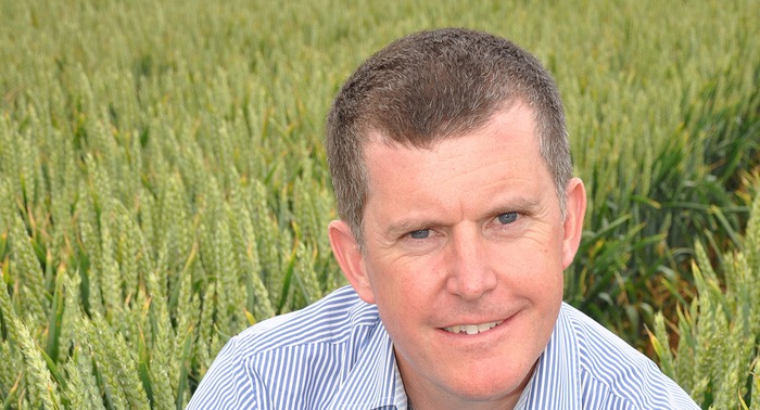 Heightened weed burden could mean growers need to replace inundated ...