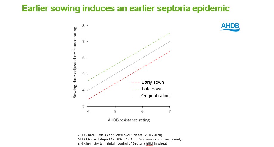 Revystar® XE at T1: Trusted to maximise crop potential | News from AA ...