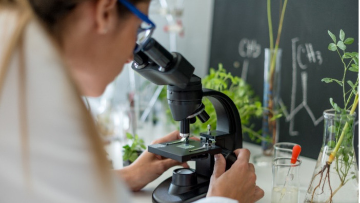 Precision Breeding Bill gains Royal Assent | News from AA Farmer