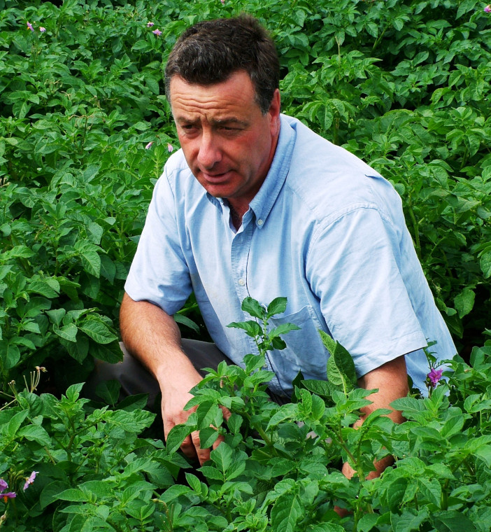 Hutchinsons advises on late blight control | News from AA Farmer