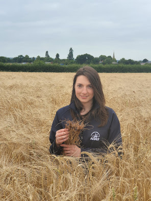 Trial reveals big return from Latitude seed treatment | News from AA Farmer