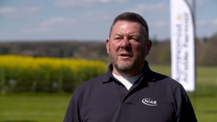 Crops on track for Cereals 2023 | News from AA Farmer