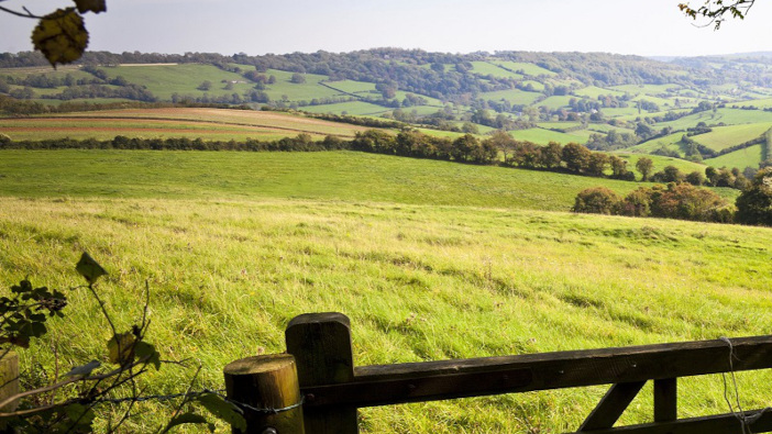 Speakers at CAAV annual conference say resilience is required | News ...