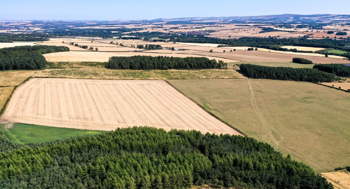 New certification model introduced to streamline audits for Scottish ...